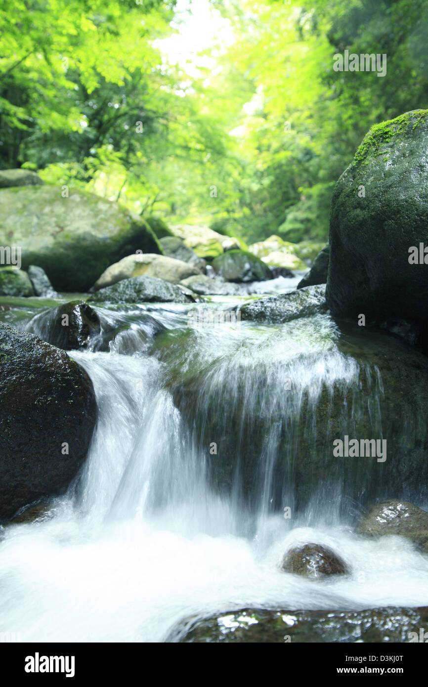 Amagi wassersystem -Fotos und -Bildmaterial in hoher Auflösung – Alamy