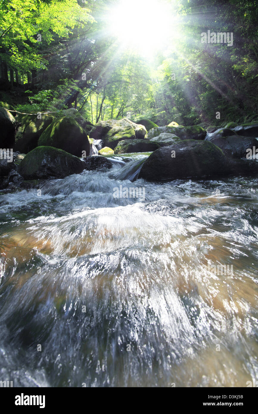 Amagi wassersystem -Fotos und -Bildmaterial in hoher Auflösung – Alamy