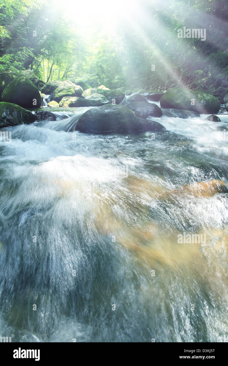 Amagi wassersystem -Fotos und -Bildmaterial in hoher Auflösung – Alamy