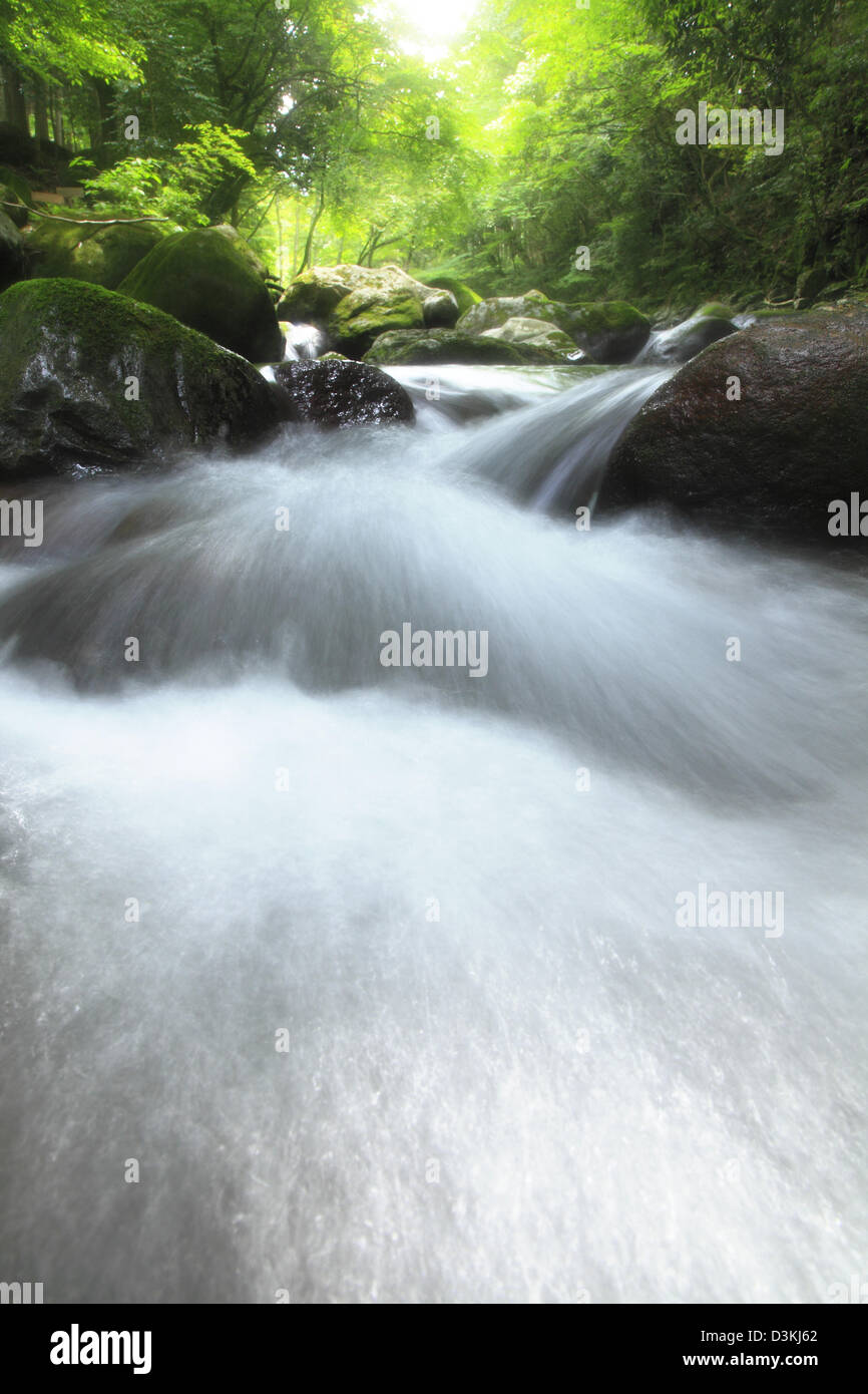 Amagi wassersystem -Fotos und -Bildmaterial in hoher Auflösung – Alamy