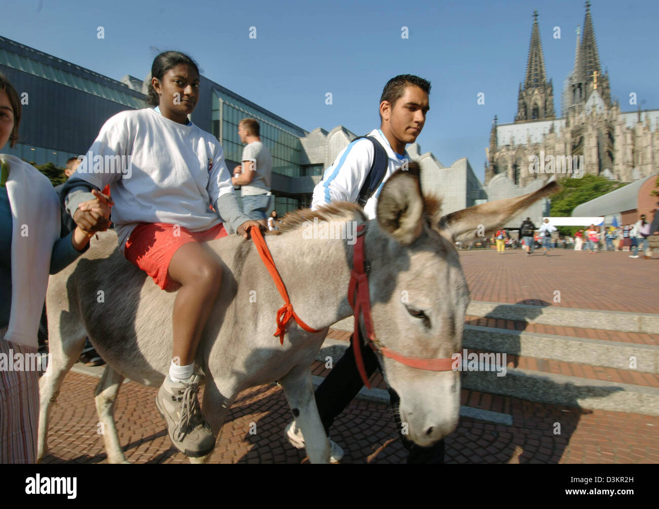Papst esel -Fotos und -Bildmaterial in hoher Auflösung – Alamy