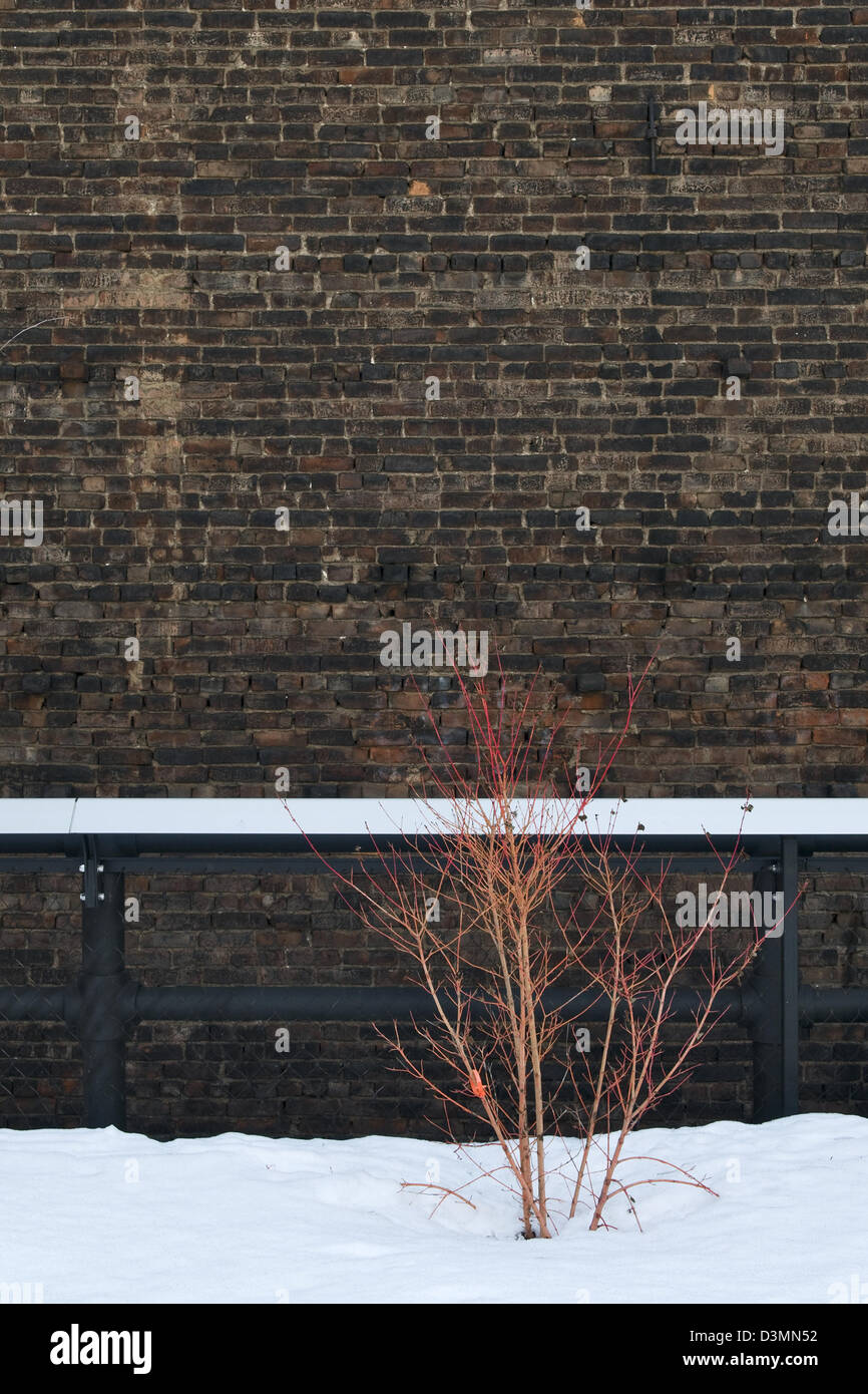 Highline Newyork Stockfotos und -bilder Kaufen - Alamy