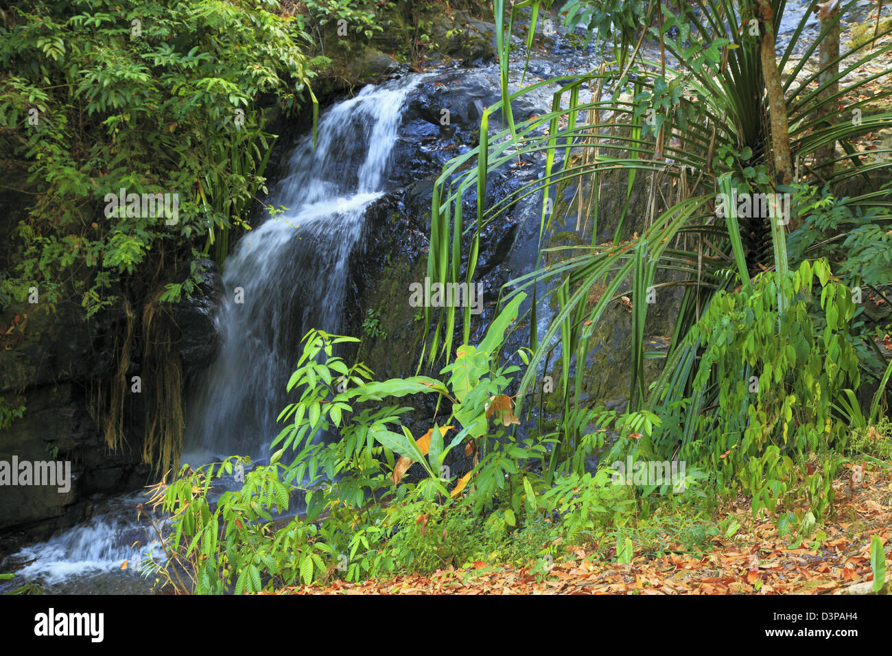 Malaysia, Kedah, der Insel Langkawi, Durian Perangin Wasserfall ...