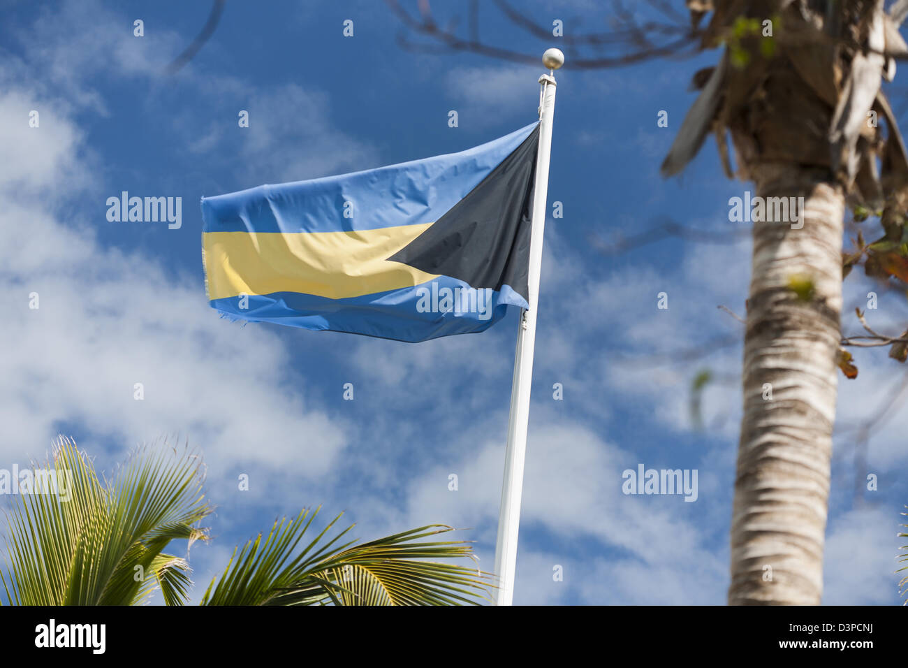Bahamas Flagge, blauer Himmel und Palmen. Die Flagge der Bahamas fliegt ...