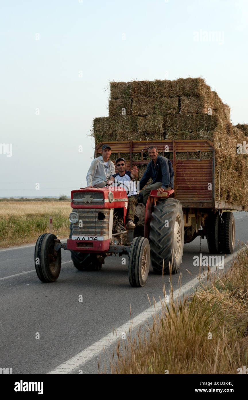 Das heu einbringen -Fotos und -Bildmaterial in hoher Auflösung – Alamy