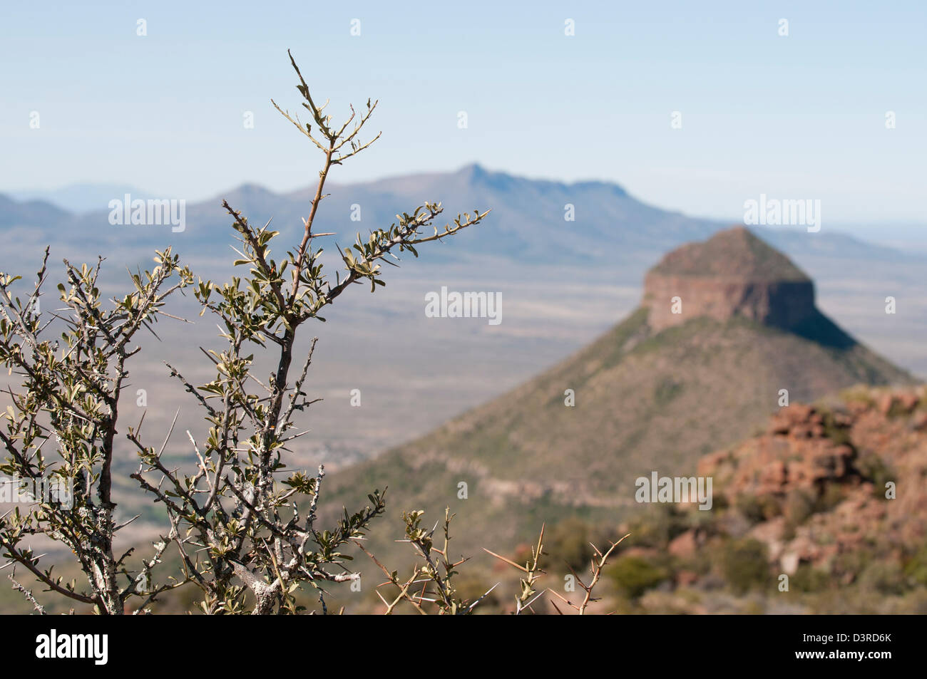 Dolerite pillars -Fotos und -Bildmaterial in hoher Auflösung – Alamy