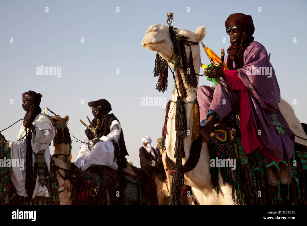 Wodaabe Nomaden fahren ihre Kamele im Rahmen des Gerewol Festivals in ...