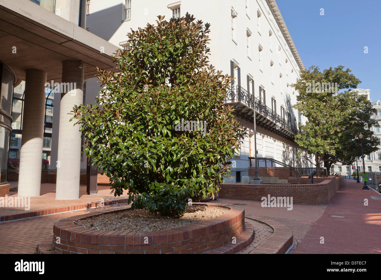 Baum gehweg -Fotos und -Bildmaterial in hoher Auflösung – Alamy