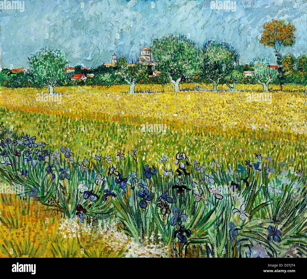 Vincent Van Gogh, Feld mit Blumen in der Nähe von Arles 1888 Öl auf ...