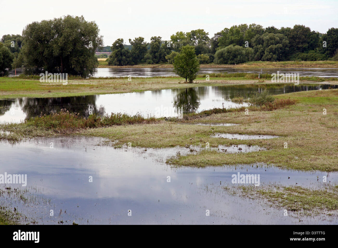 Das Biosphärenreservat mittlere Elbe Vockerode, Deutschland ...