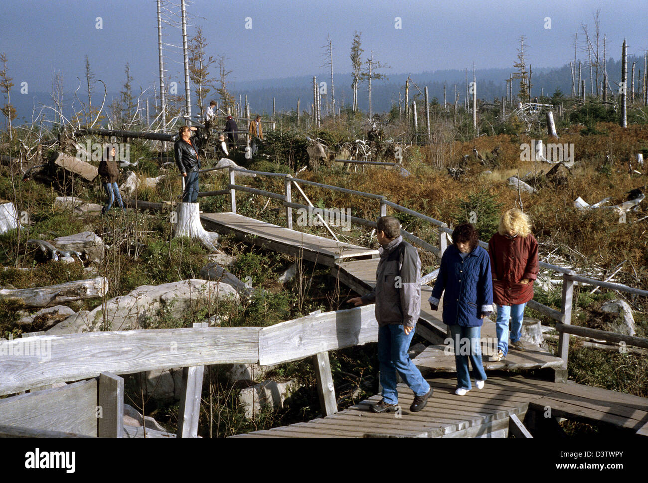 Lothar Storm Stockfotos und -bilder Kaufen - Alamy