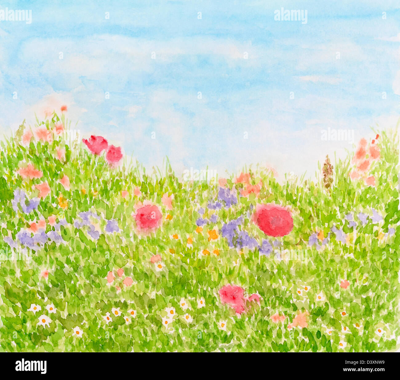 Aquarell zeichnung blumenwiese -Fotos und -Bildmaterial in hoher Auflösung – Alamy