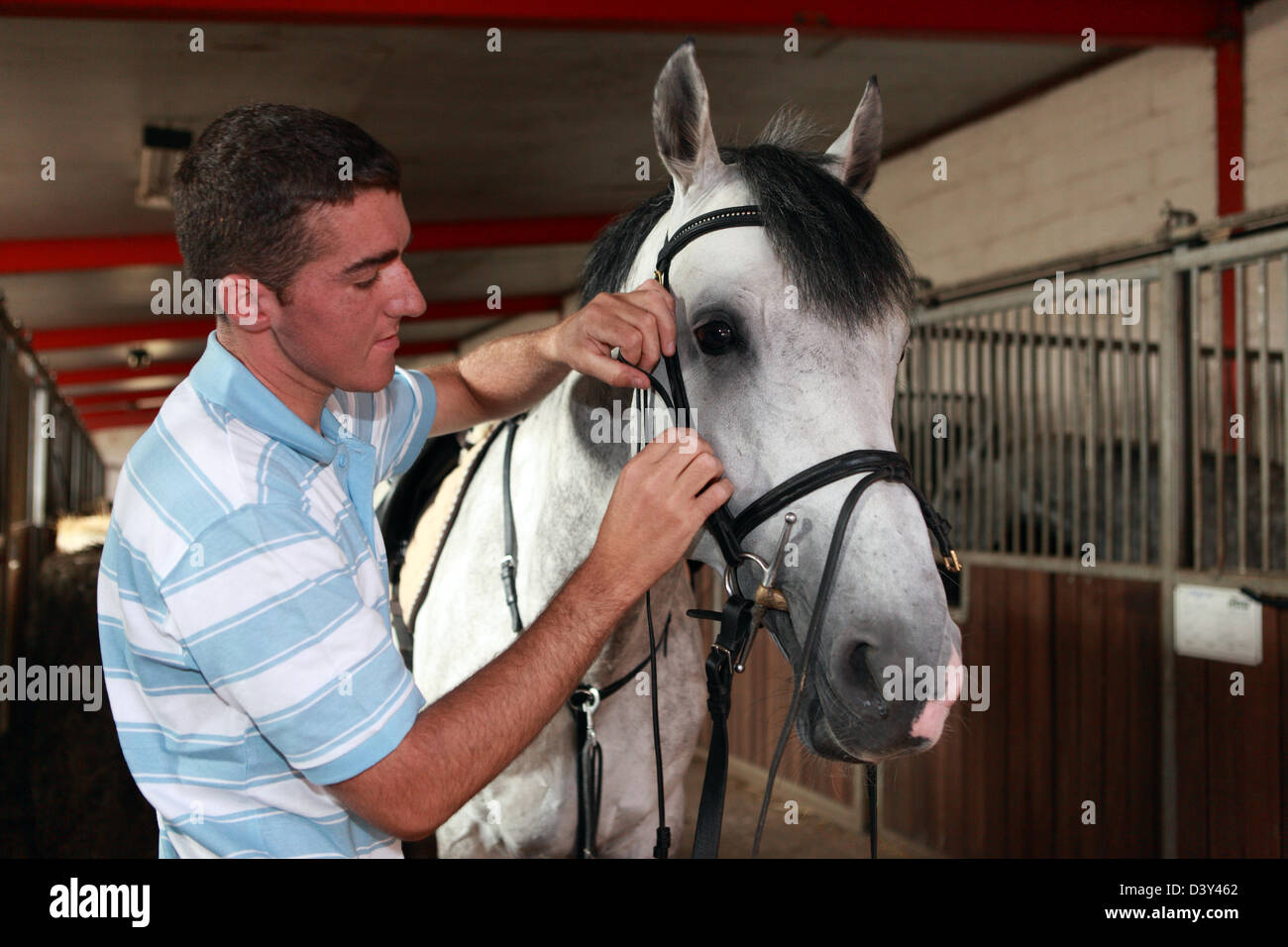 Mann mit seinem pferd -Fotos und -Bildmaterial in hoher Auflösung – Alamy