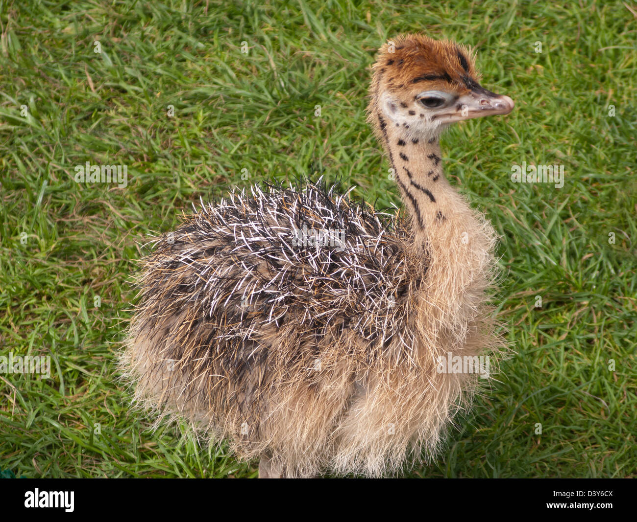 Ten days -Fotos und -Bildmaterial in hoher Auflösung – Alamy