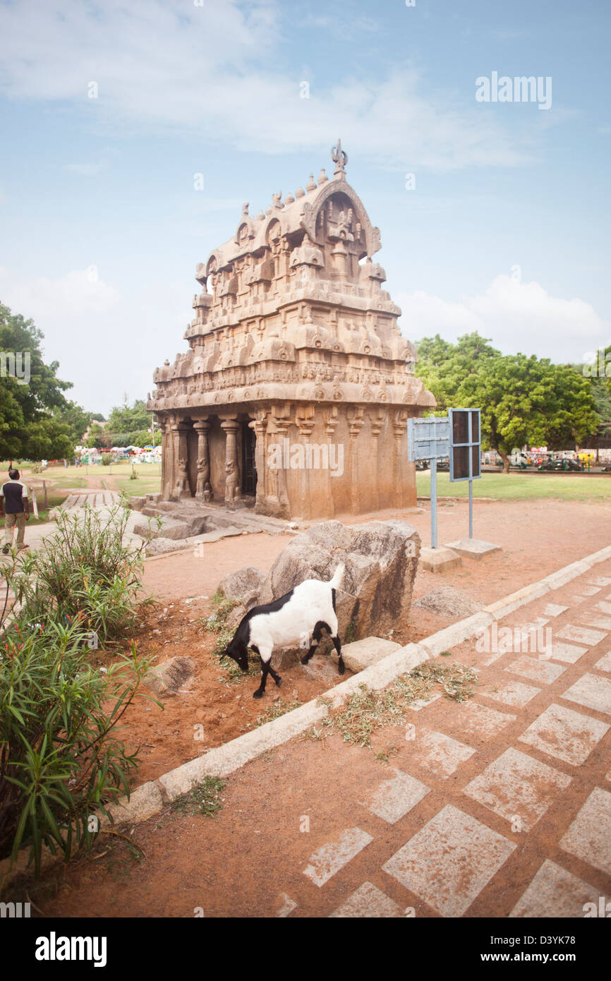 Antike Ganesh Ratha Tempel in Mahabalipuram, Kanchipuram Bezirk, Tamil ...
