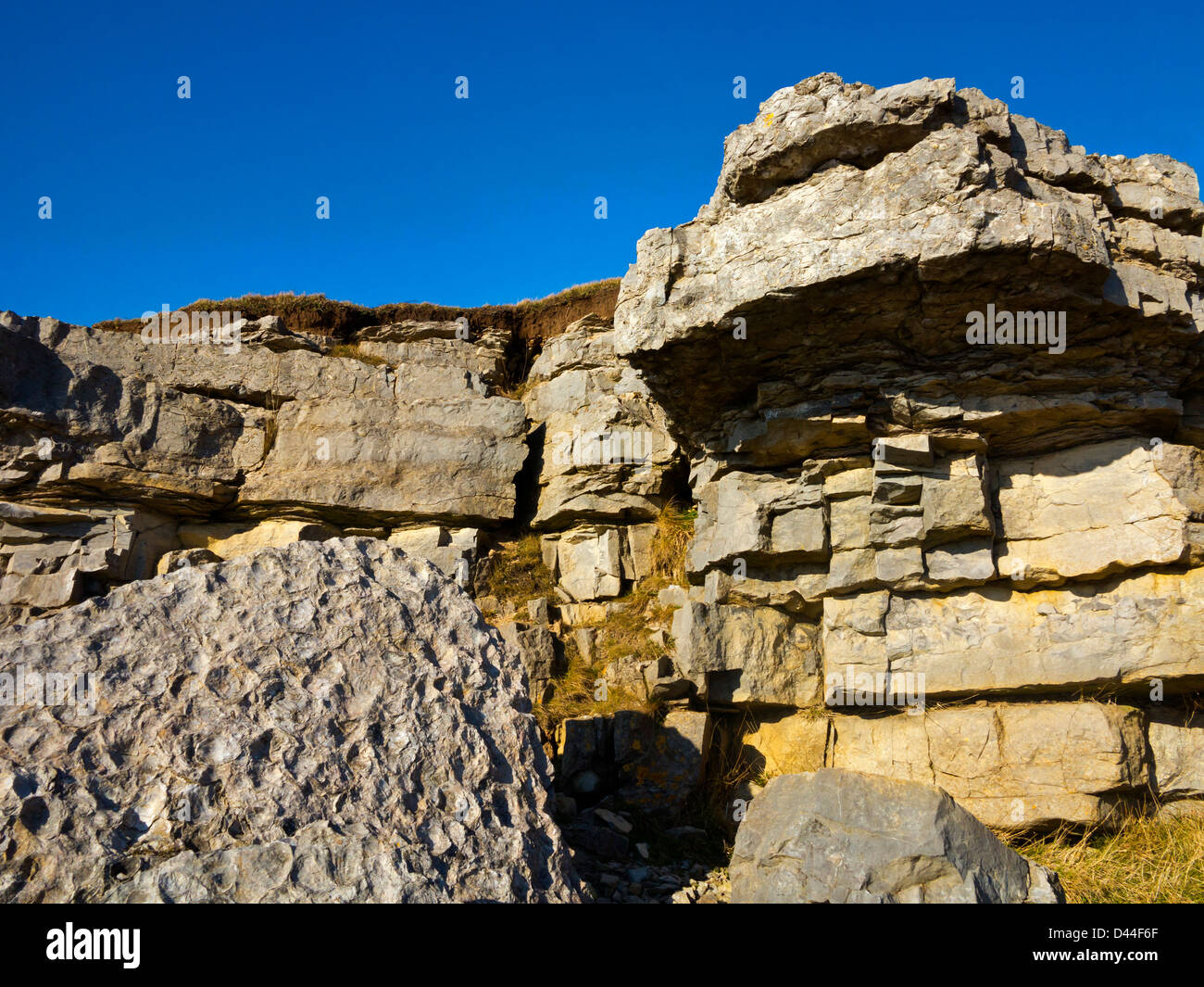 Kalkstein mit fossilien -Fotos und -Bildmaterial in hoher Auflösung – Alamy