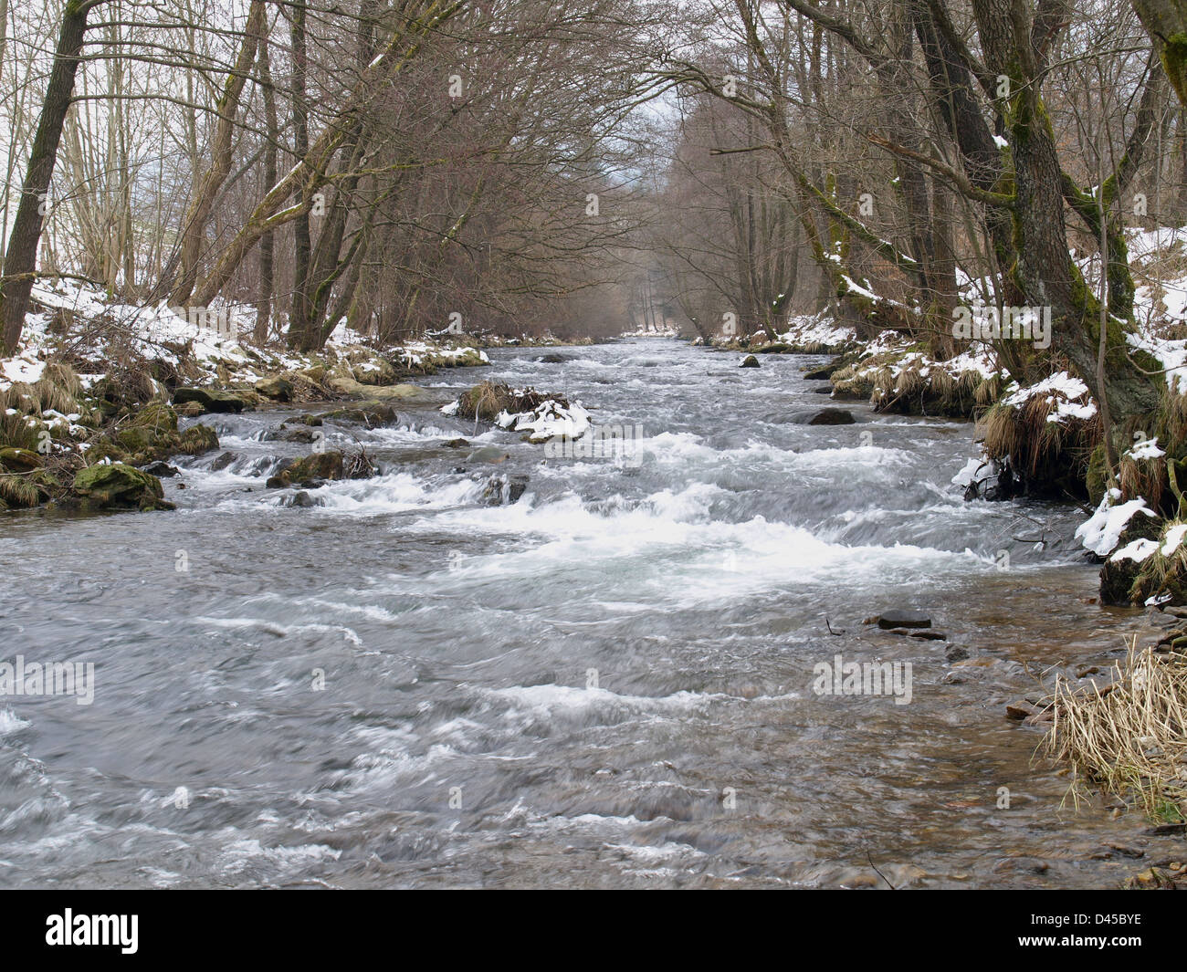 Fluss "Weißen Regen" Bayerischer Wald Deutschland / Fluss "Weisser ...