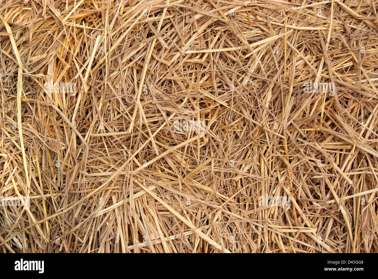 Straw texture -Fotos und -Bildmaterial in hoher Auflösung – Alamy