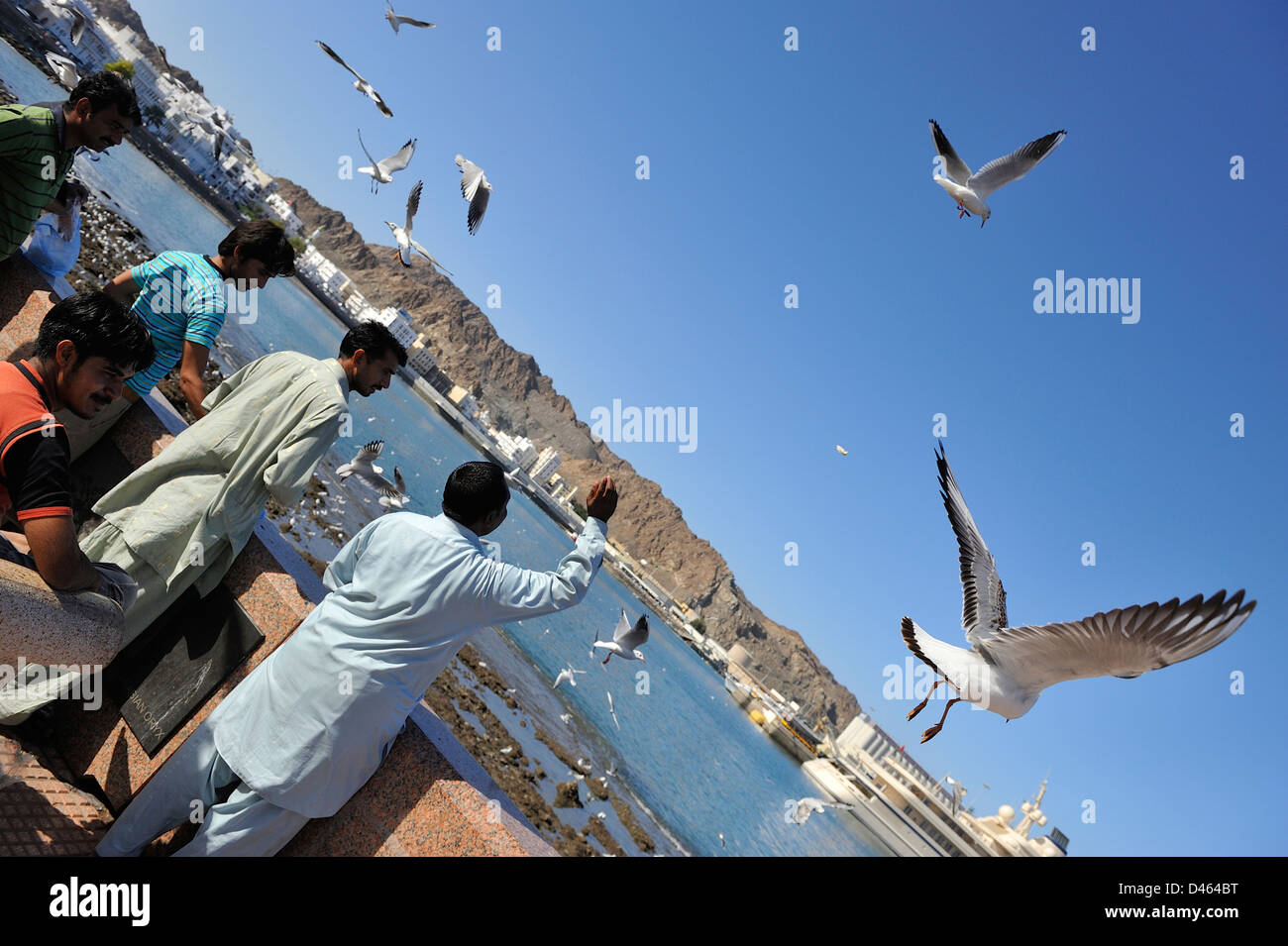 Pakistaner Männer die Möwen auf der Corniche zu ernähren; Mutrah ...