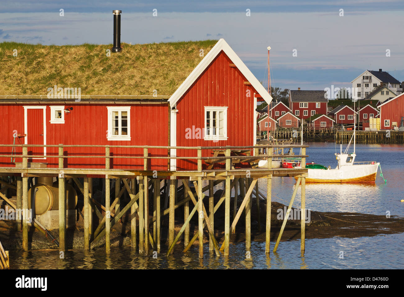 Typische rote Rorbu-Hütte mit Rasen Dach in Stadt der Reine auf Lofoten ...