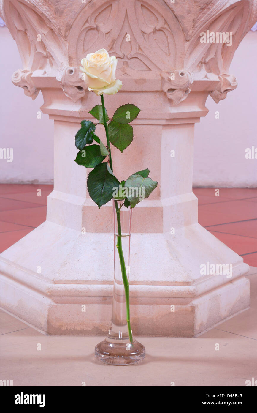 Anselm sickinger -Fotos und -Bildmaterial in hoher Auflösung – Alamy