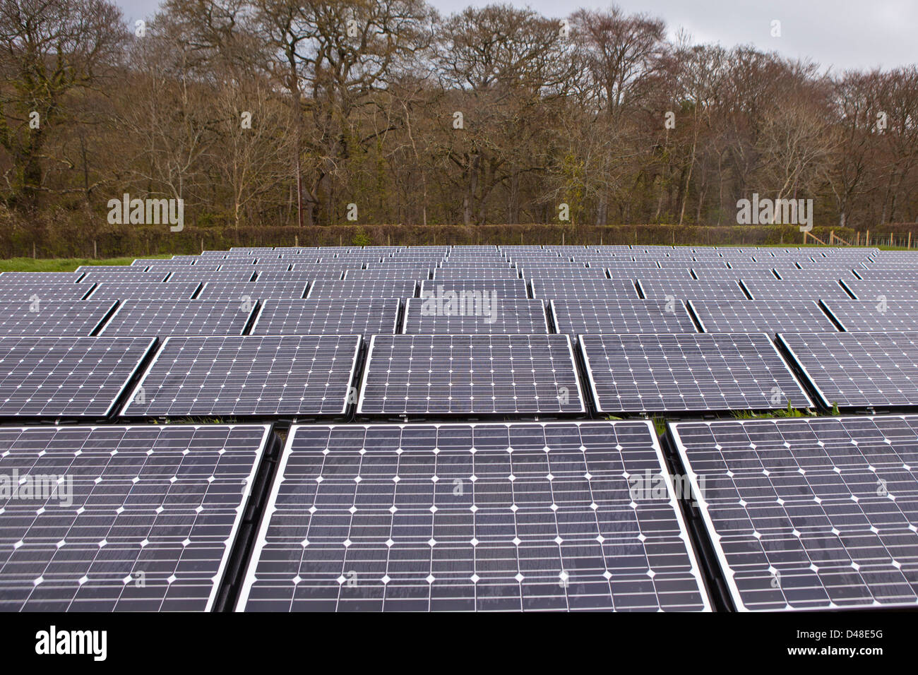 Solar-Panel / Photovoltaik Paneele Stockfotografie - Alamy