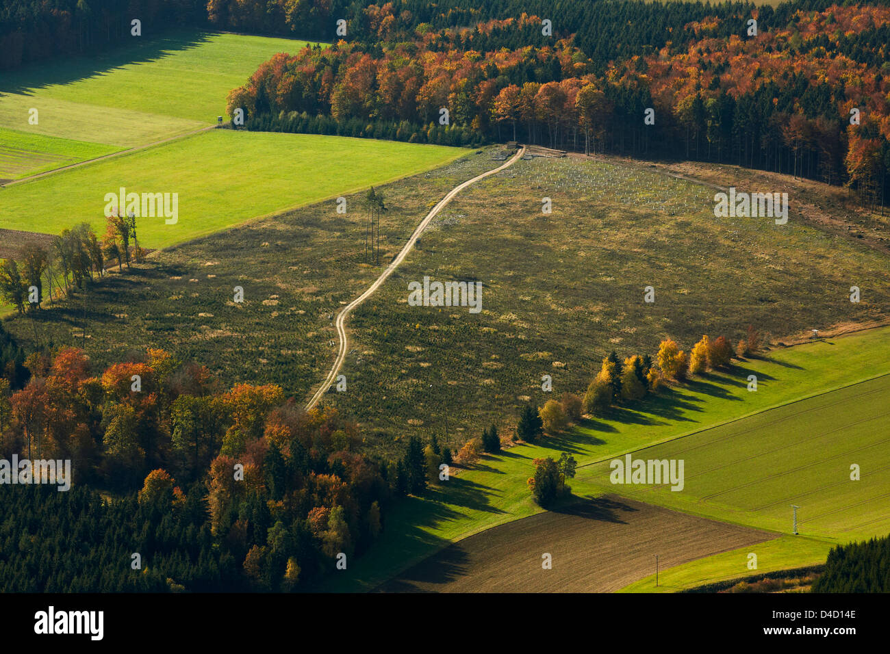 Gerodeter wald -Fotos und -Bildmaterial in hoher Auflösung – Alamy