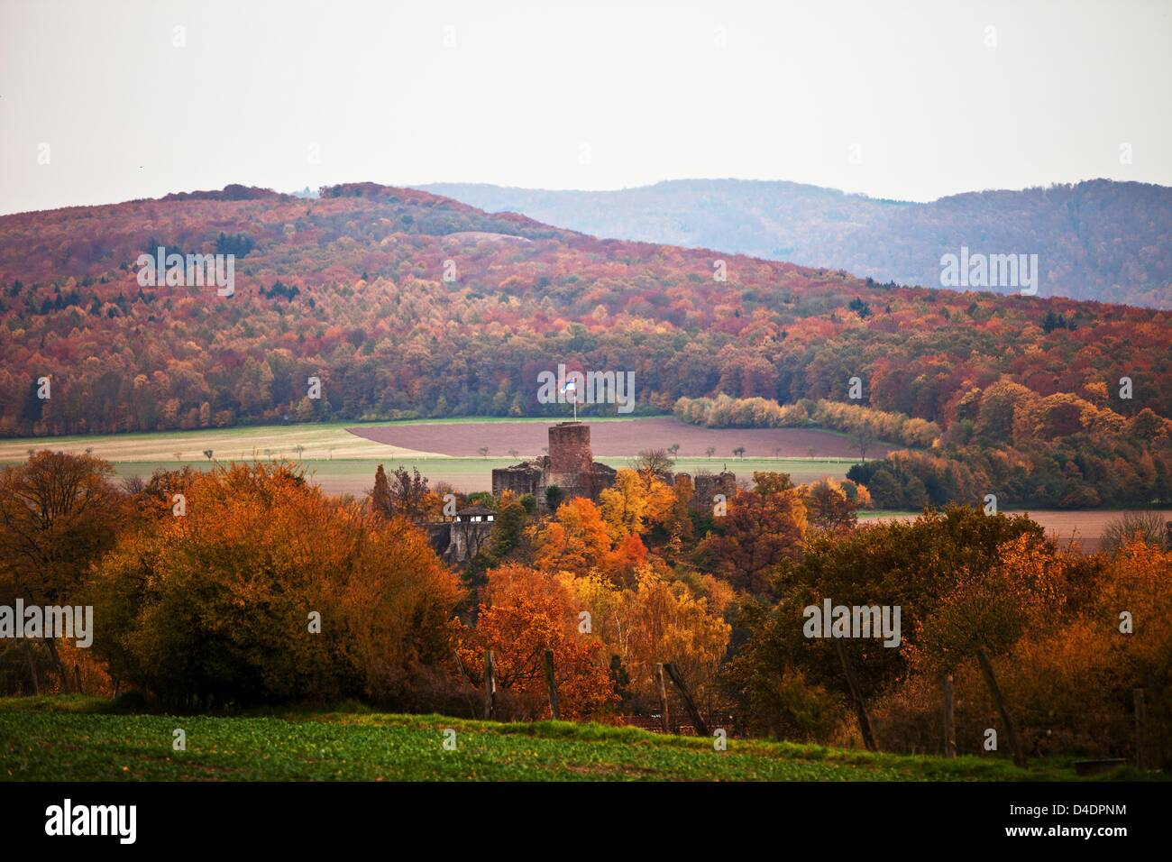 Polle an der weser -Fotos und -Bildmaterial in hoher Auflösung – Alamy