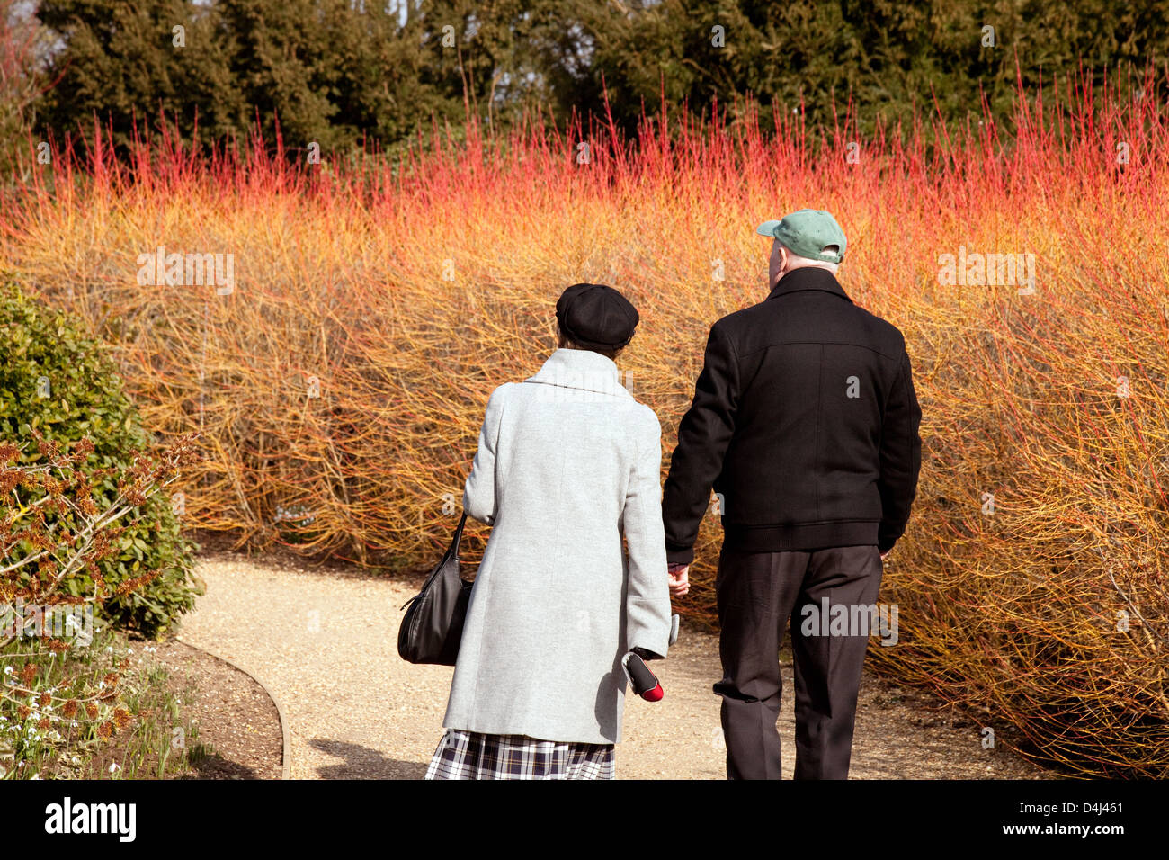 Alte rentner rentner menschen -Fotos und -Bildmaterial in hoher ...