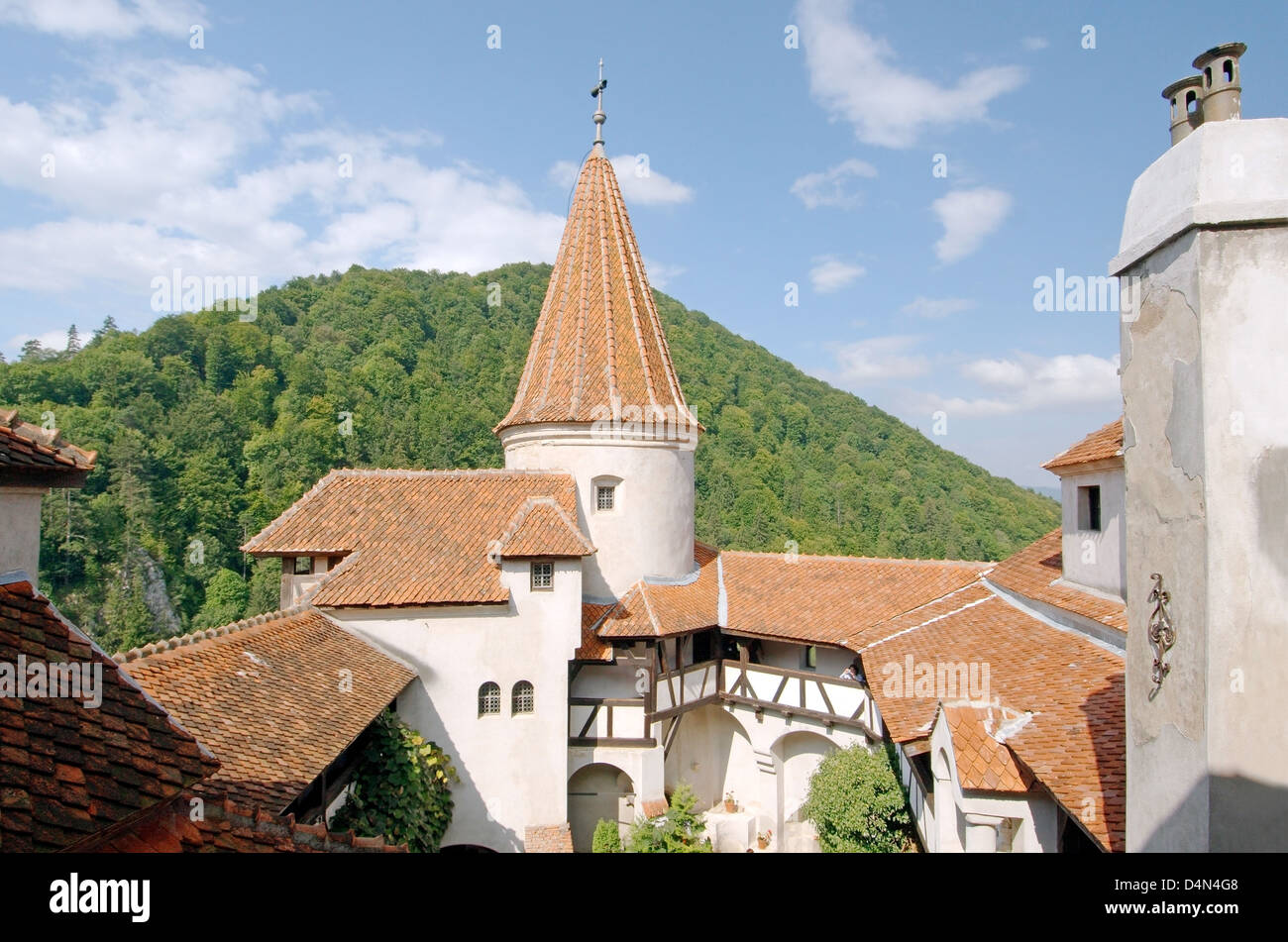Graf dracula schloß -Fotos und -Bildmaterial in hoher Auflösung – Alamy