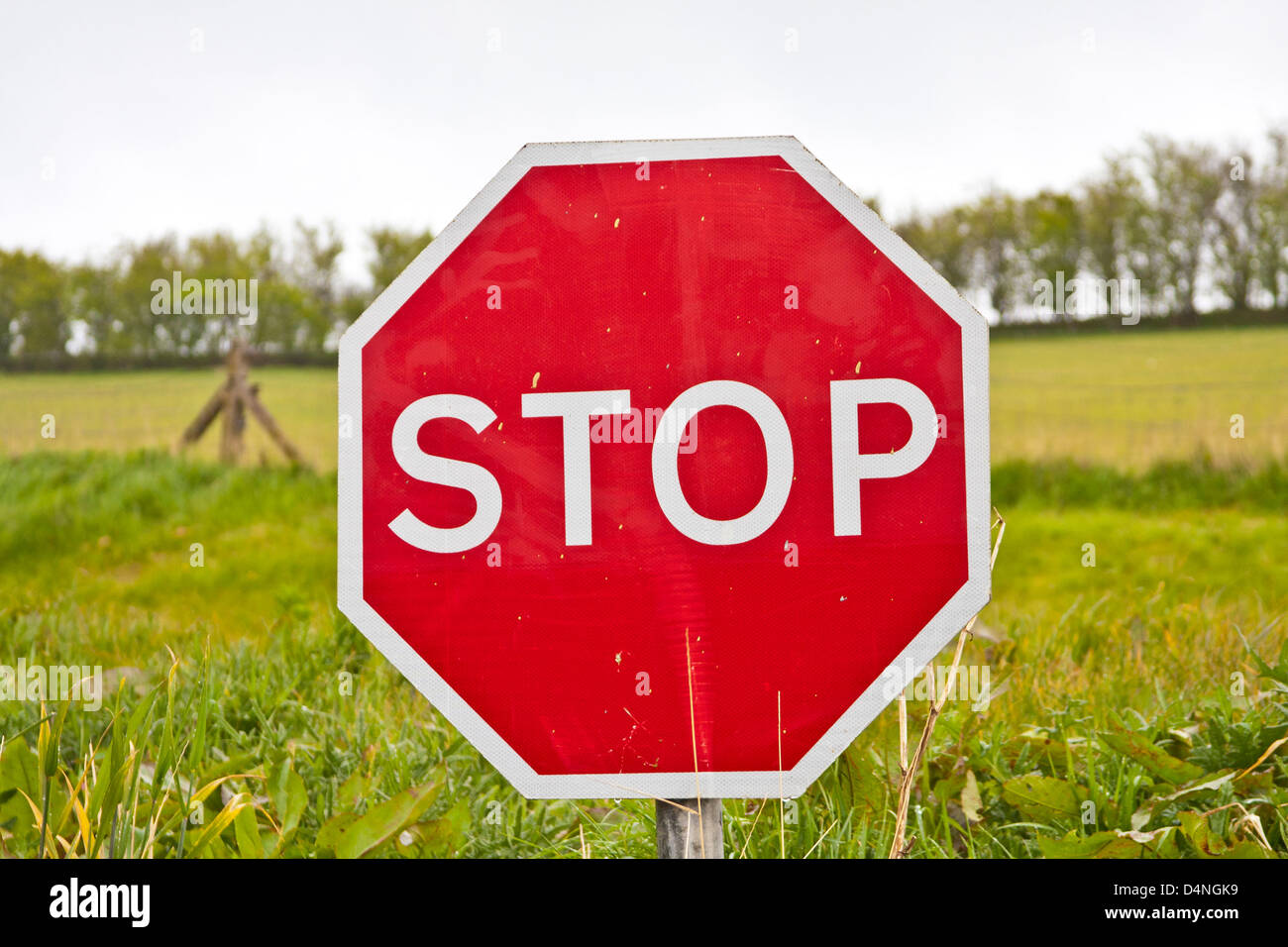 Stop-Schild am Straßenrand Stockfotografie - Alamy