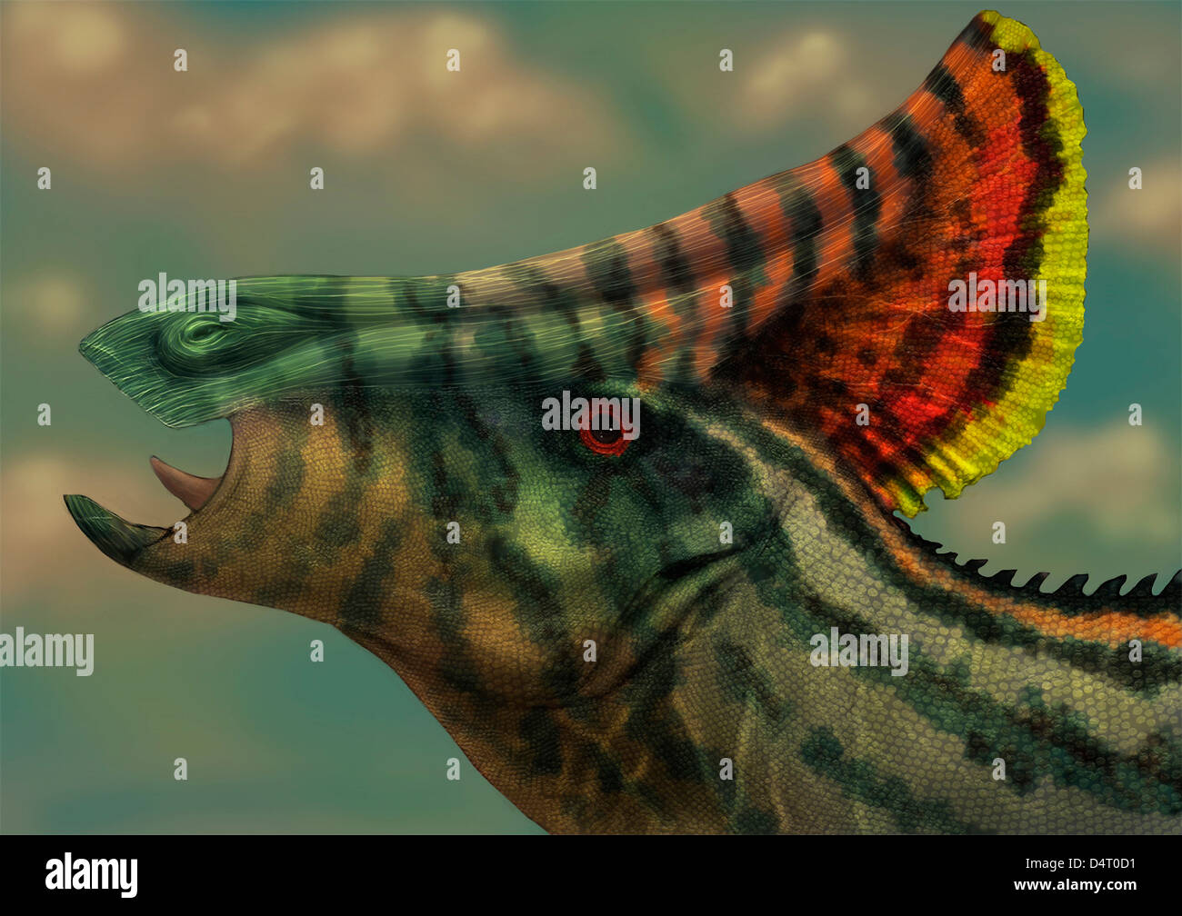 Entenschnabeldinosaurier entenschnabel dinosaurier schnabeldinosaurier ...