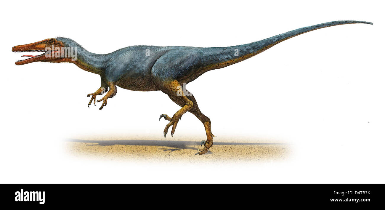 Austroraptor cabazai -Fotos und -Bildmaterial in hoher Auflösung – Alamy