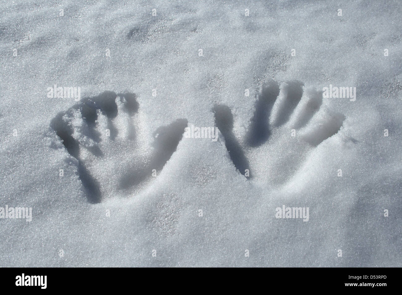 Hand prints snow winter -Fotos und -Bildmaterial in hoher Auflösung – Alamy