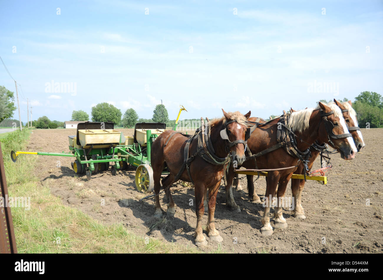 Bauernhof pflug Stockfotos und -bilder Kaufen - Alamy