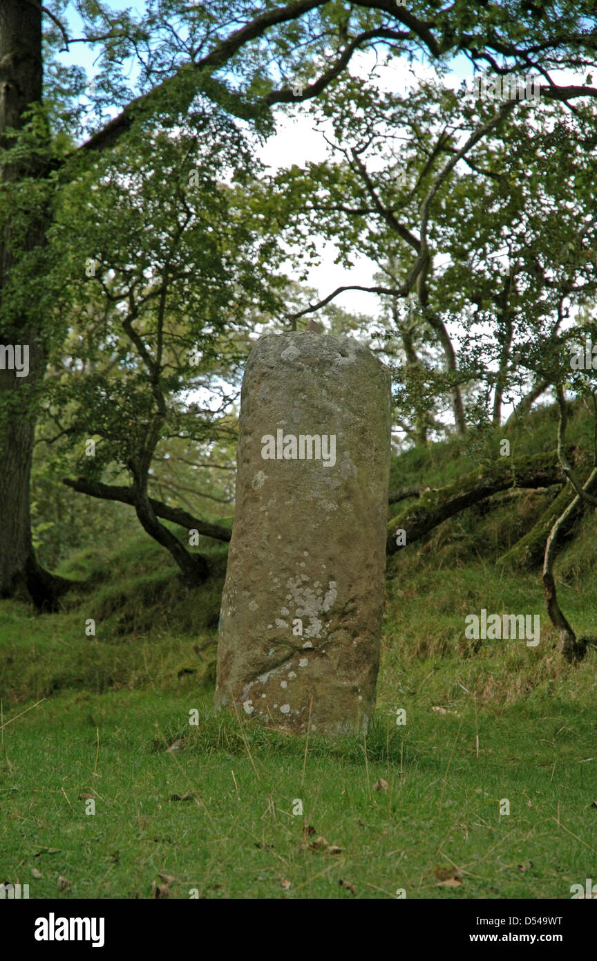 Der römische Meilenstein auf Stanegate, Vindolanda, Hadrianswall ...