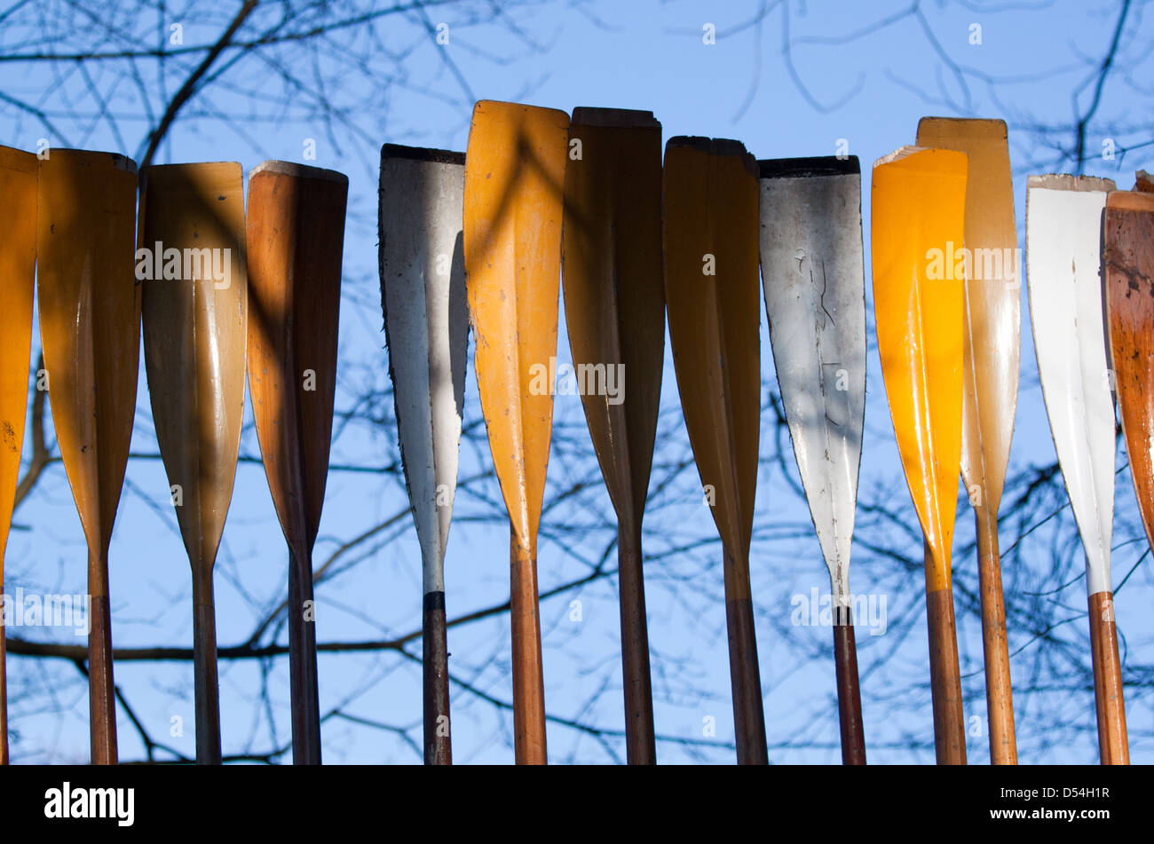 Rudern mit rudern -Fotos und -Bildmaterial in hoher Auflösung – Alamy