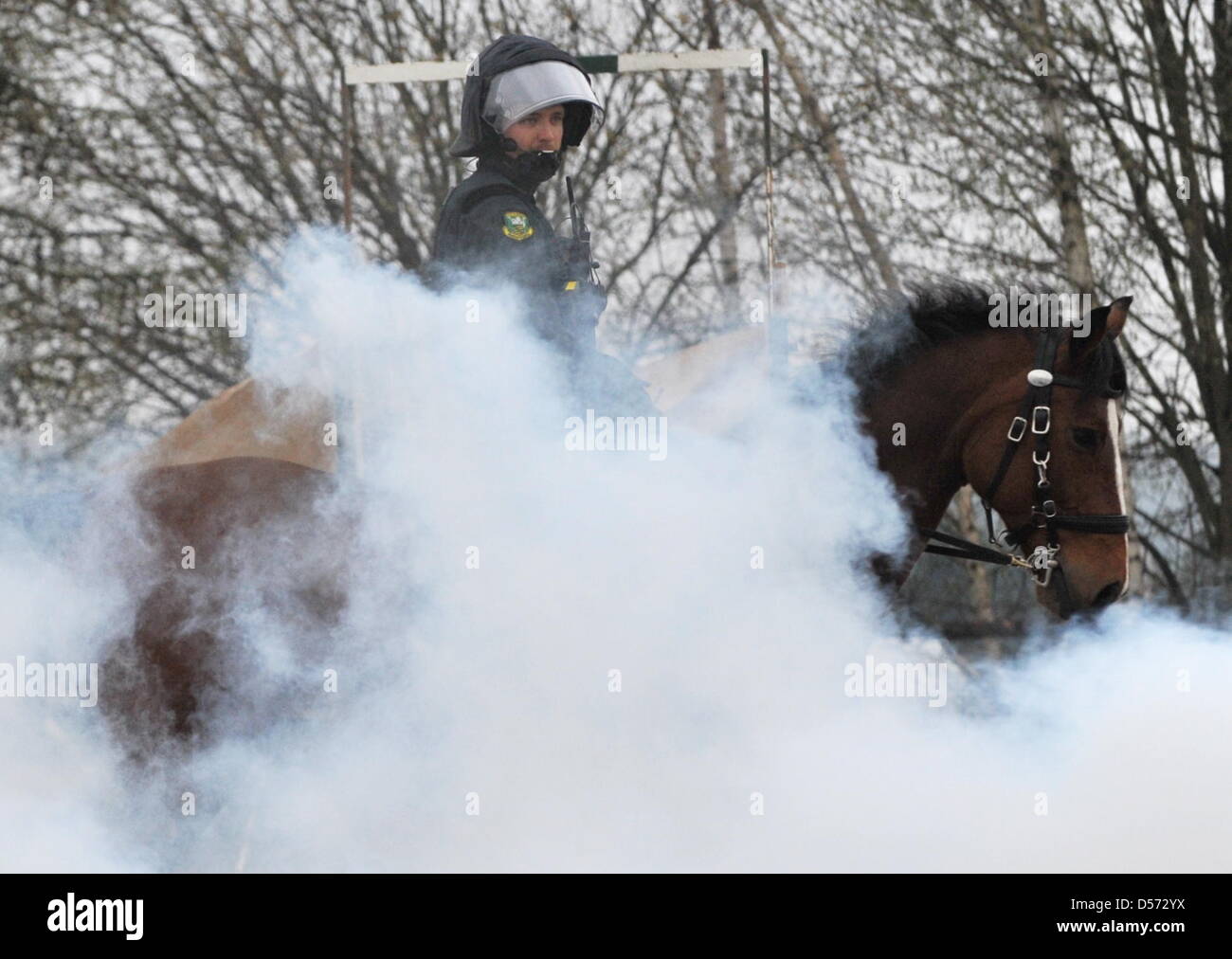 Pferde teilen -Fotos und -Bildmaterial in hoher Auflösung – Alamy