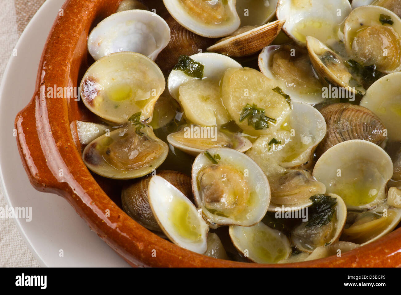Lebende muscheln -Fotos und -Bildmaterial in hoher Auflösung – Alamy