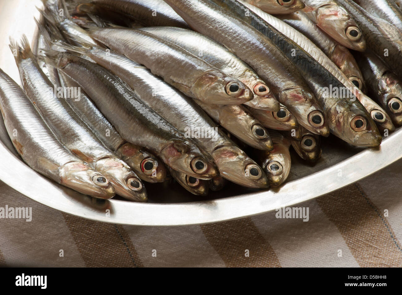 Anchovy fishing -Fotos und -Bildmaterial in hoher Auflösung – Alamy