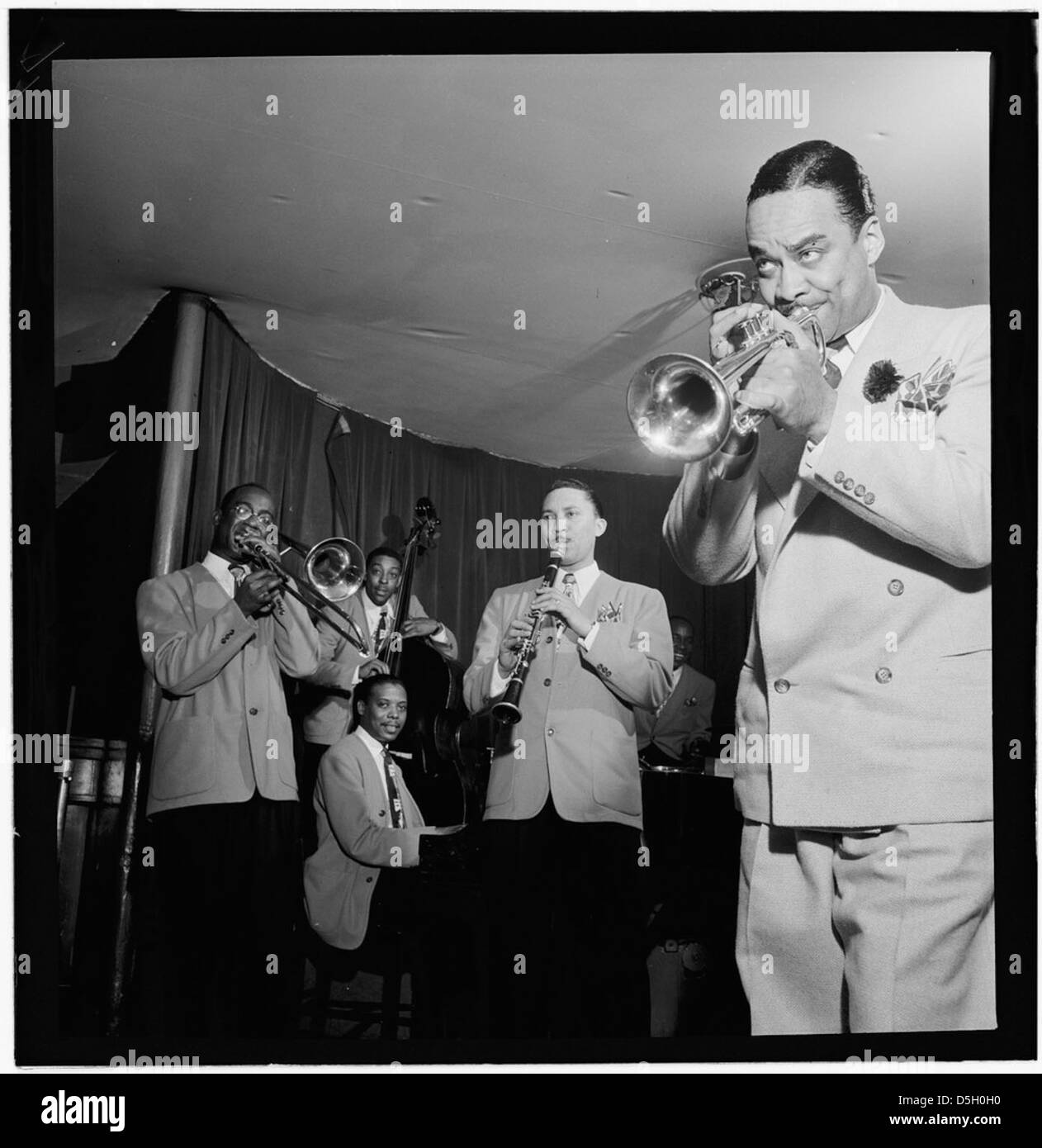 Kelly shepherd -Fotos und -Bildmaterial in hoher Auflösung – Alamy