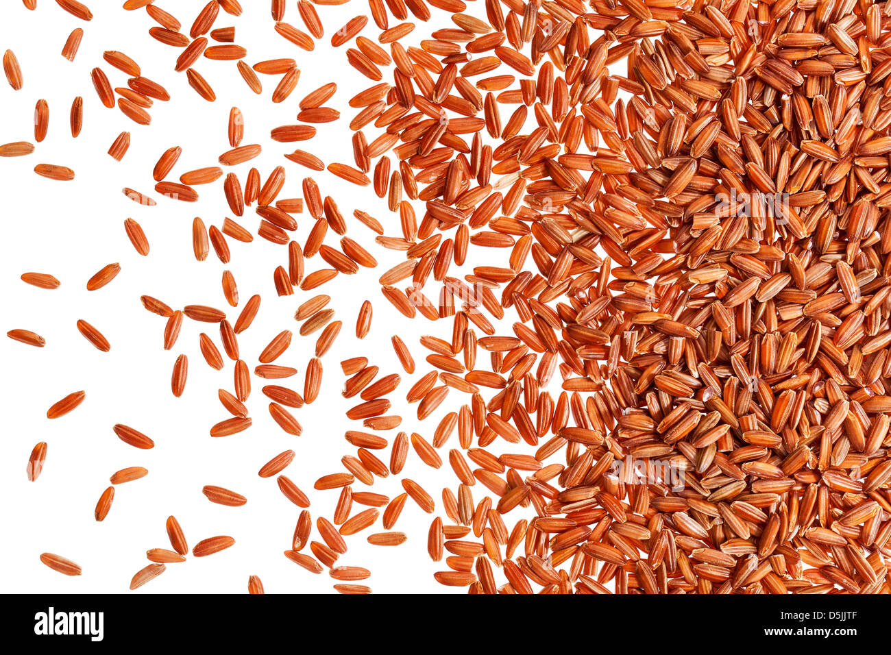 brauner Reis Getreide verteilt auf weißem Hintergrund - Draufsicht ...