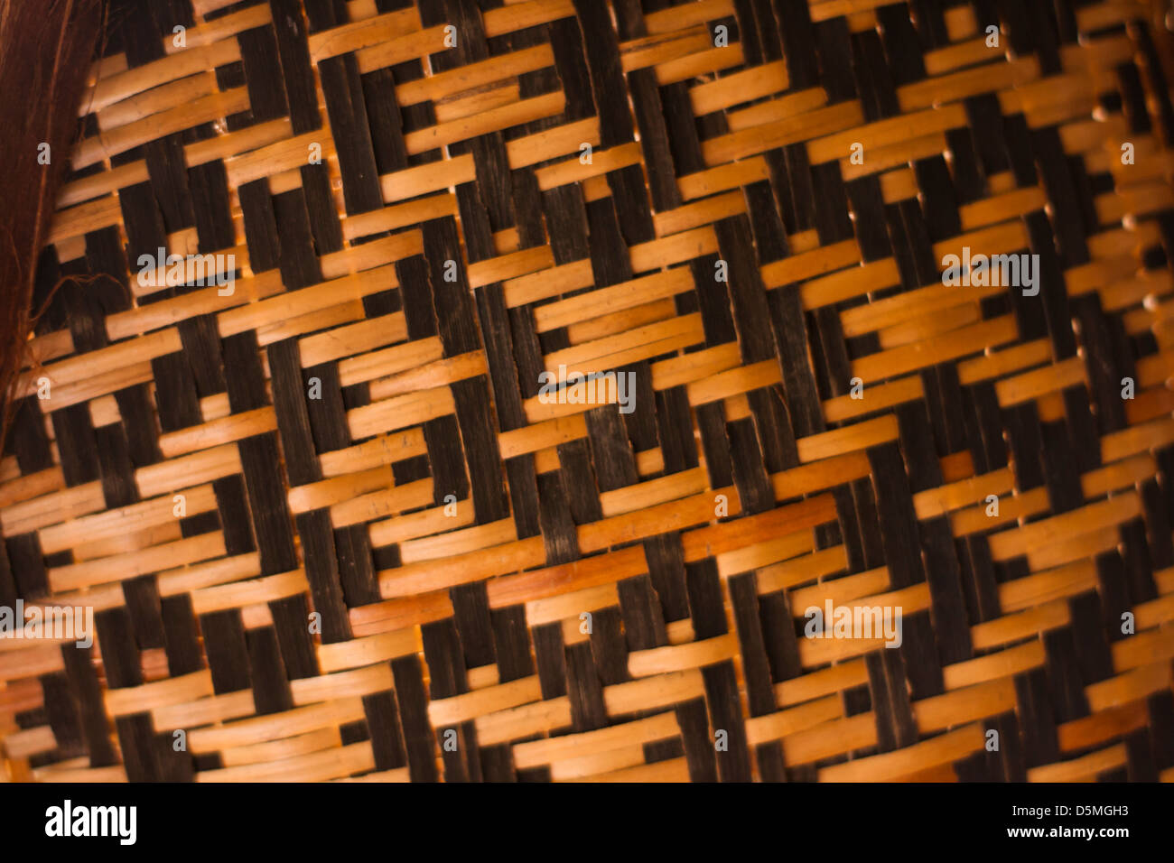 Waimiri atroari -Fotos und -Bildmaterial in hoher Auflösung – Alamy