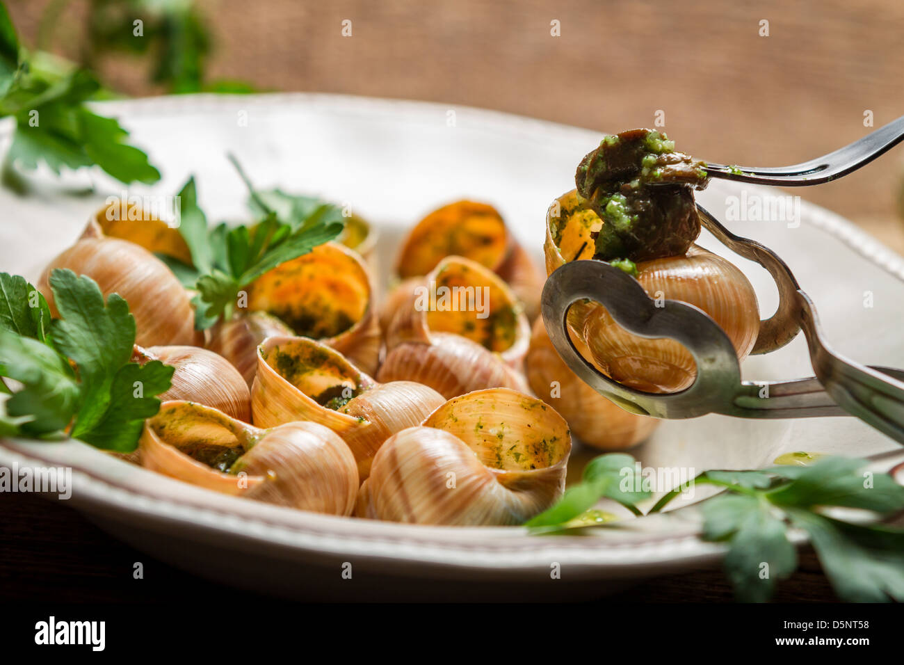 Essen die Schnecke gebraten in Butter mit Knoblauch und Petersilie ...