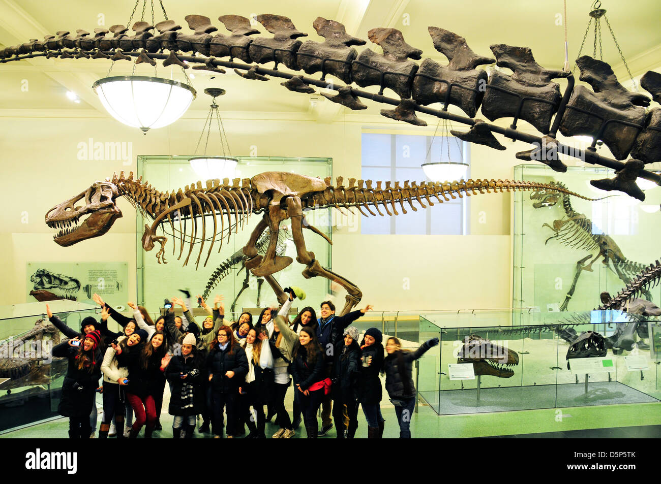 T-Rex, Dinosaurier, American Museum of Natural History, Upper West Side ...