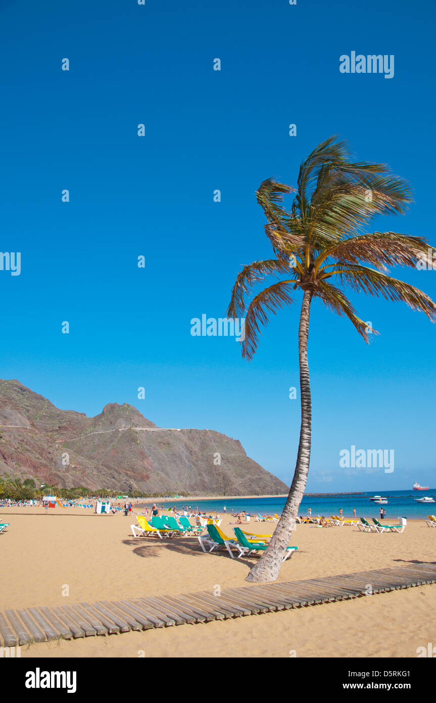 Playa de las teresitas teneriffa -Fotos und -Bildmaterial in hoher Auflösung – Alamy