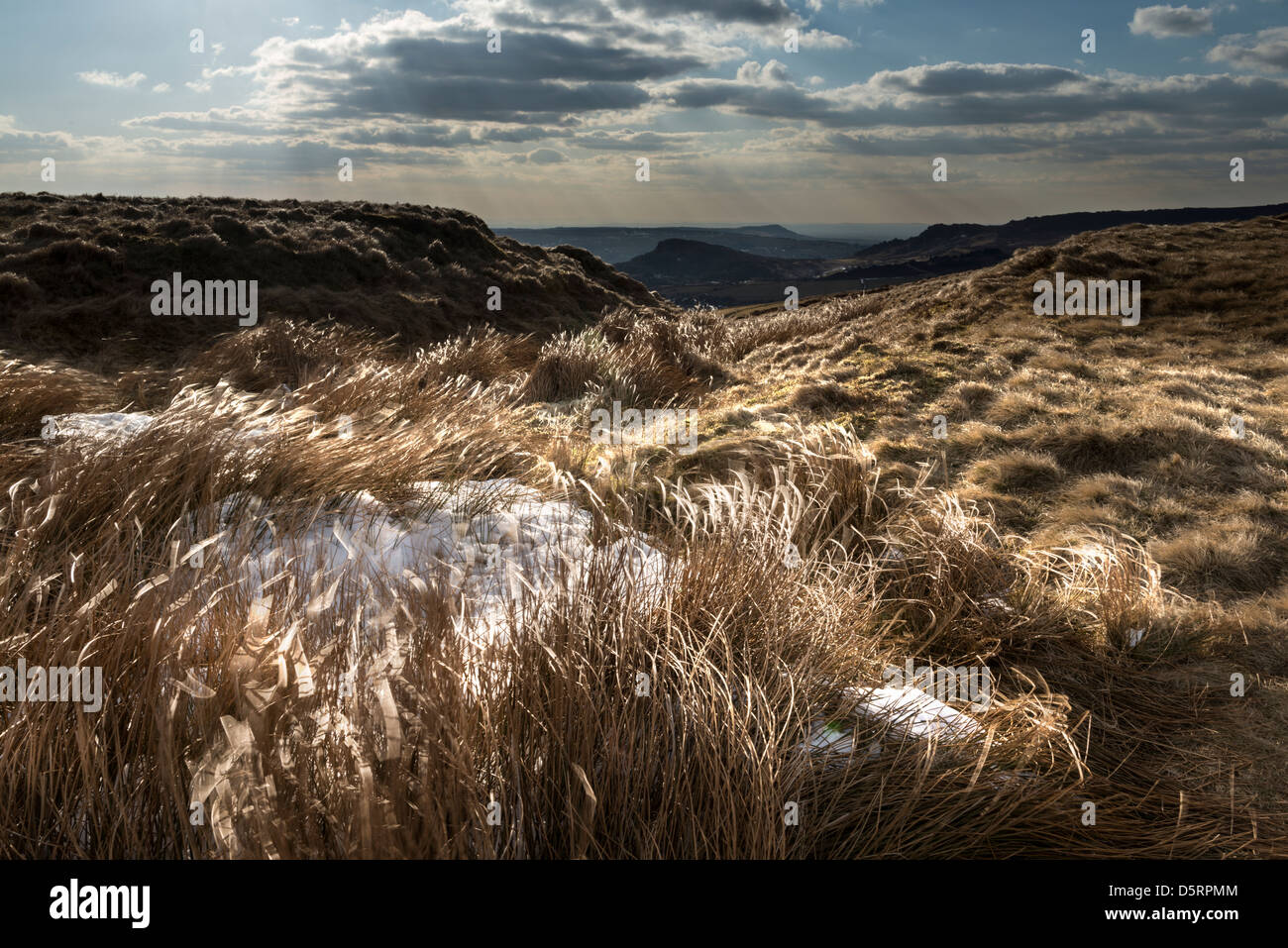Mit Blick auf dem fernen Hintergrund der Henne Cloud und die Schaben ...