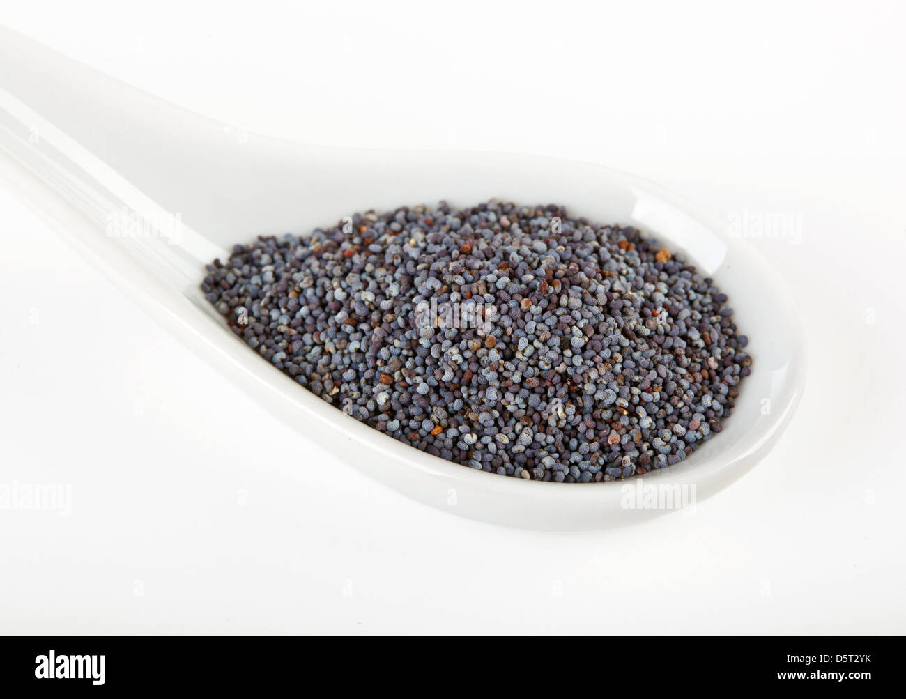 Mohn samen -Fotos und -Bildmaterial in hoher Auflösung – Alamy