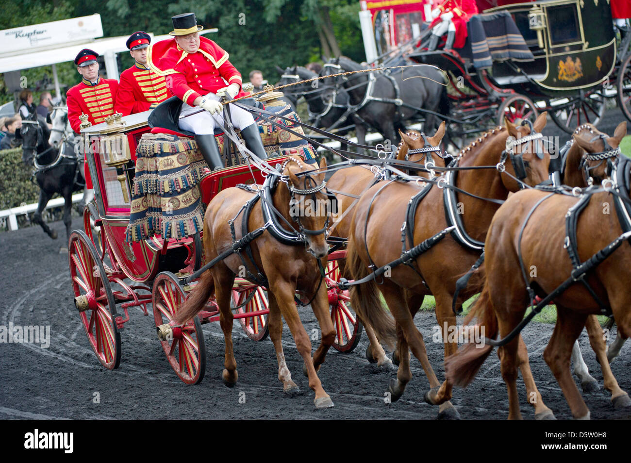 Stallion parade -Fotos und -Bildmaterial in hoher Auflösung – Alamy