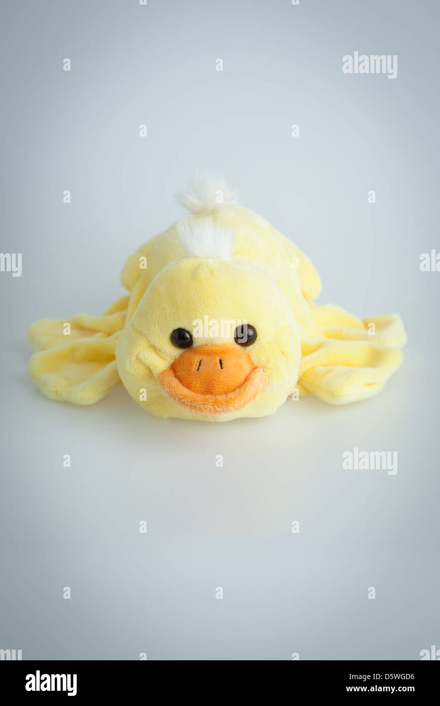 Ente kuscheln -Fotos und -Bildmaterial in hoher Auflösung – Alamy